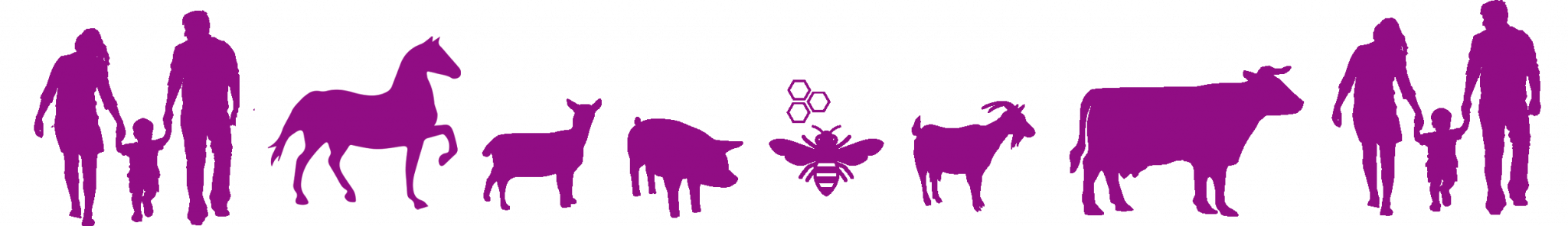 La mammite est une infection de la mamelle